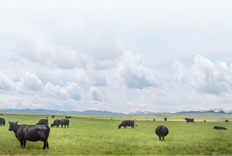 Nebraska Ranches for Sale - Hall and Hall