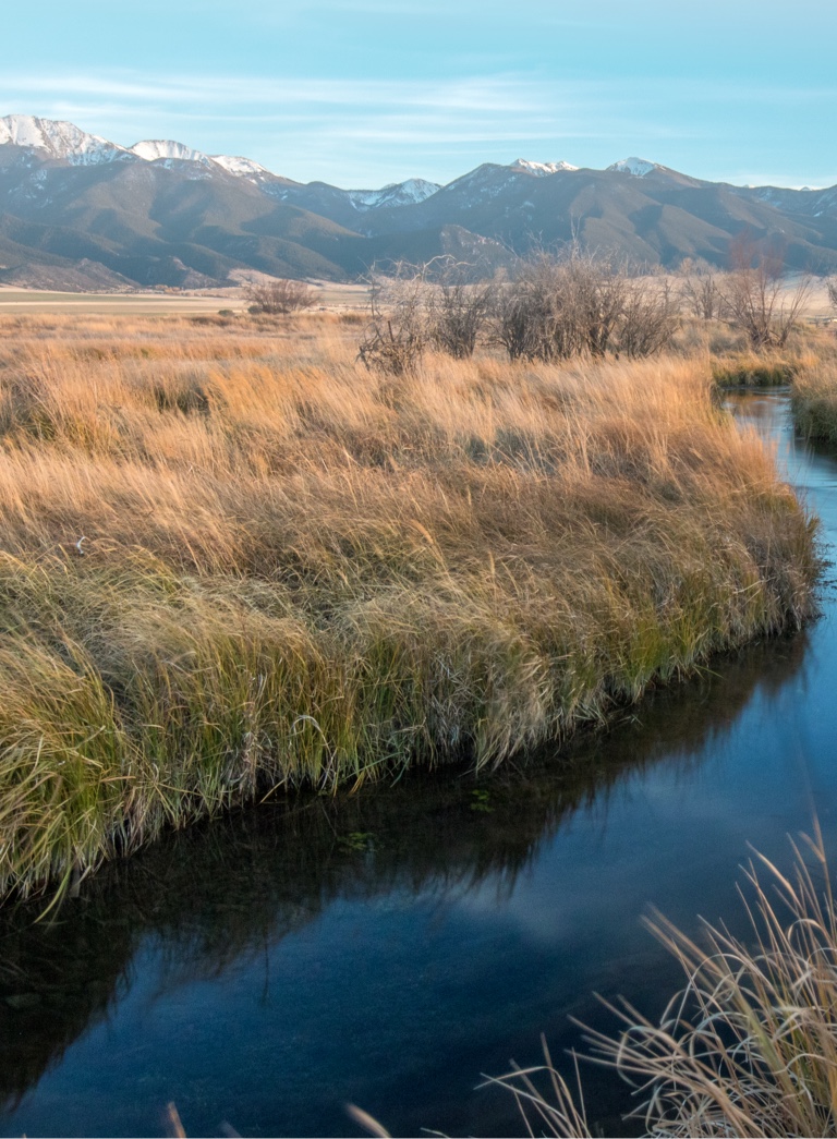 About Hall & Hall | Selling Farm & Ranch Land Since 1946