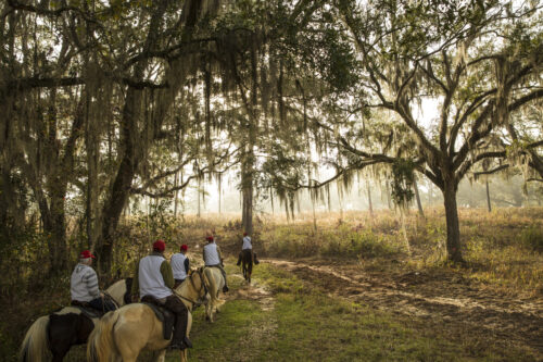 Loveridge Plantation Featured in WSJ - Hall and Hall