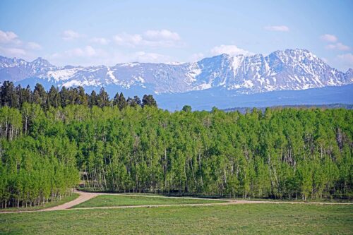 Elk Island Ranch Featured on Open Fences Cover - Hall and Hall