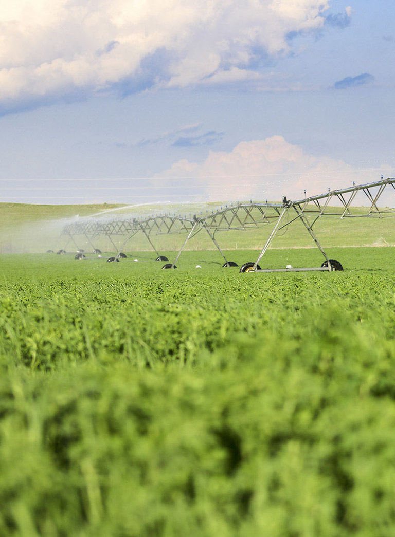 The Future of Farming - Hall and Hall