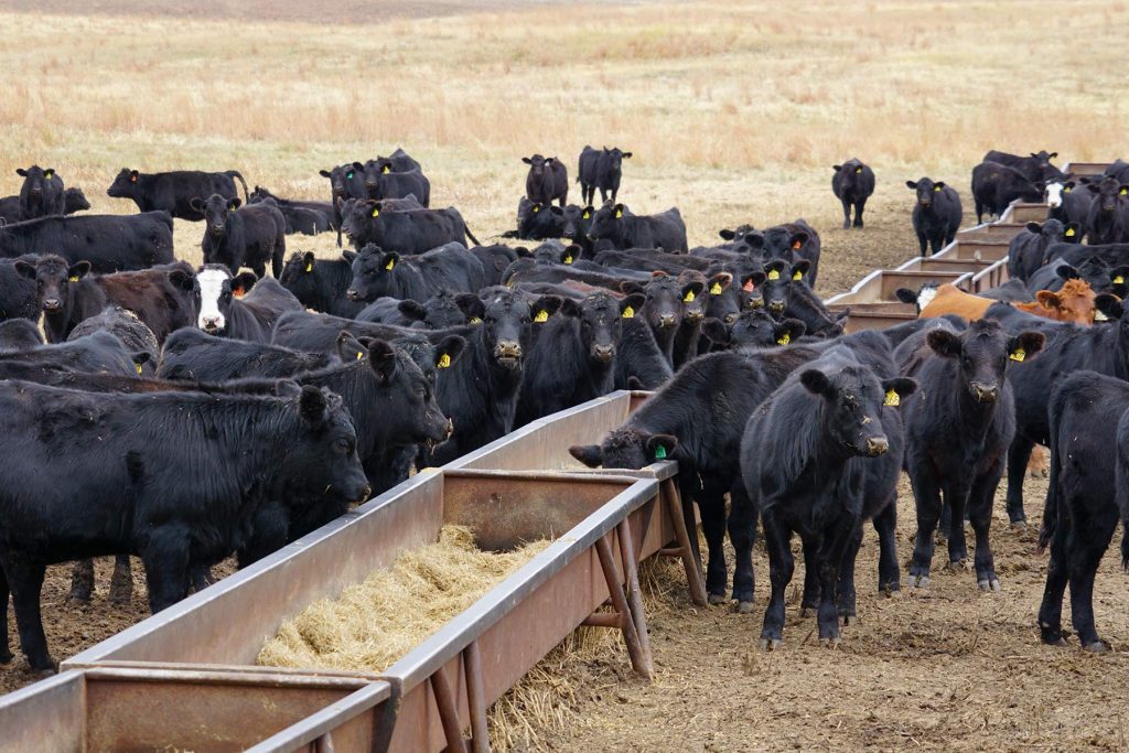 Nebraska Cattleman Hall of Fame - Hall and Hall