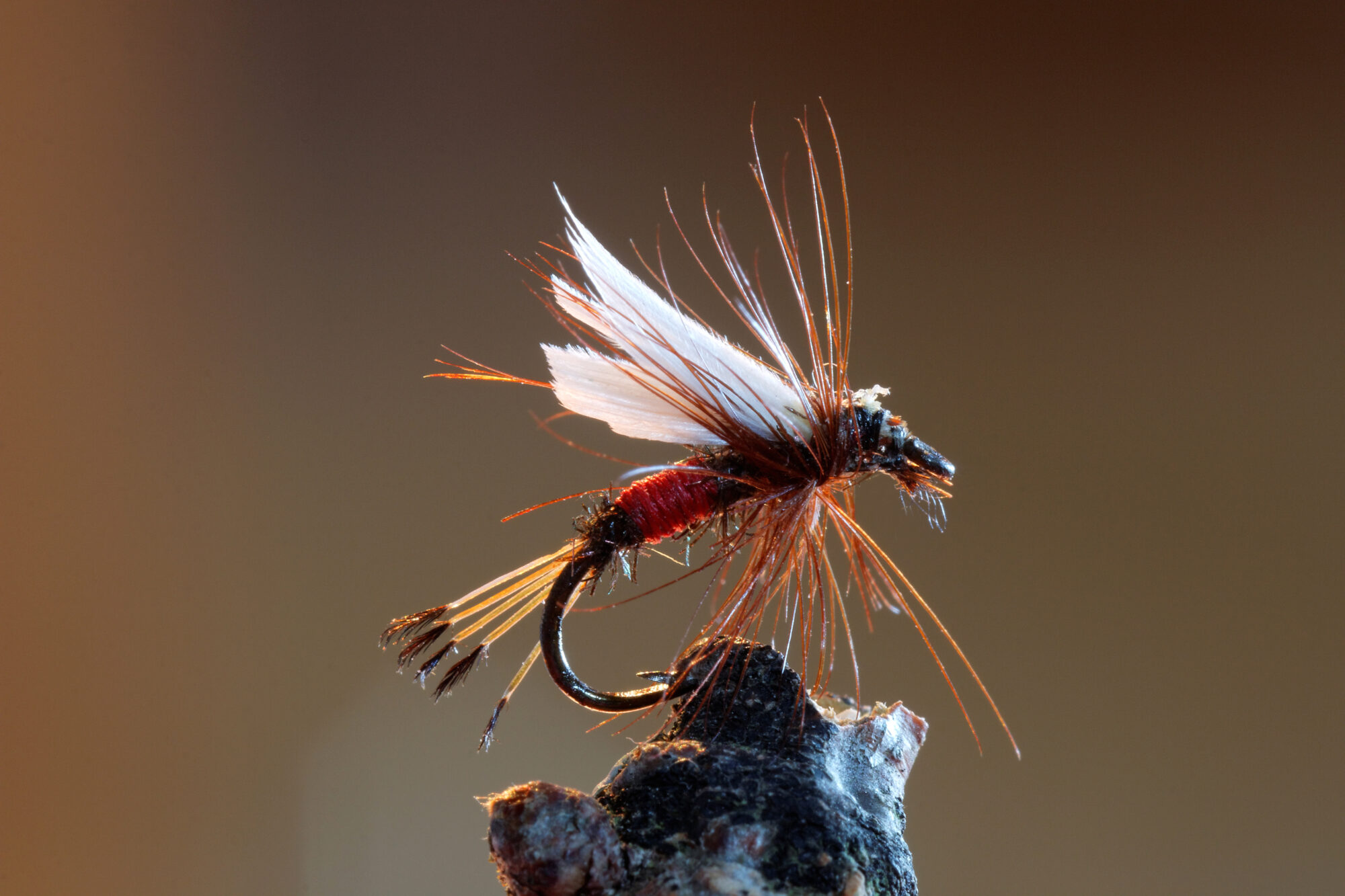 5 Tips for Fall Fly-Fishing - Hall and Hall