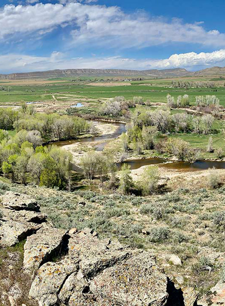 Everyone Lived Happily Ever After at the Diamond S Ranch