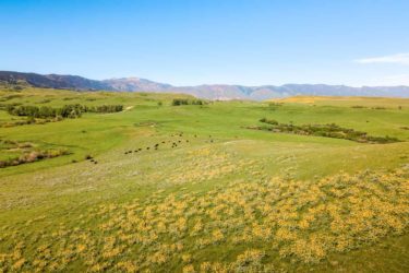 Rocky Mountain Region Ranches for Sale - Hall and Hall