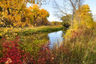 Red Reflet Ranch - Hall and Hall
