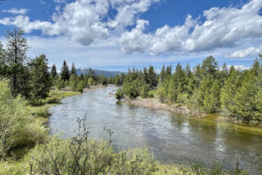 Robinson Bar Ranch - Sold - Idaho - Hall and Hall