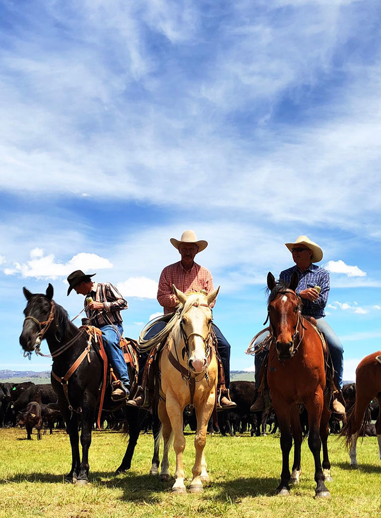 SOLD - Bar Cross Ranch, Cora, Wyoming - Hall and Hall