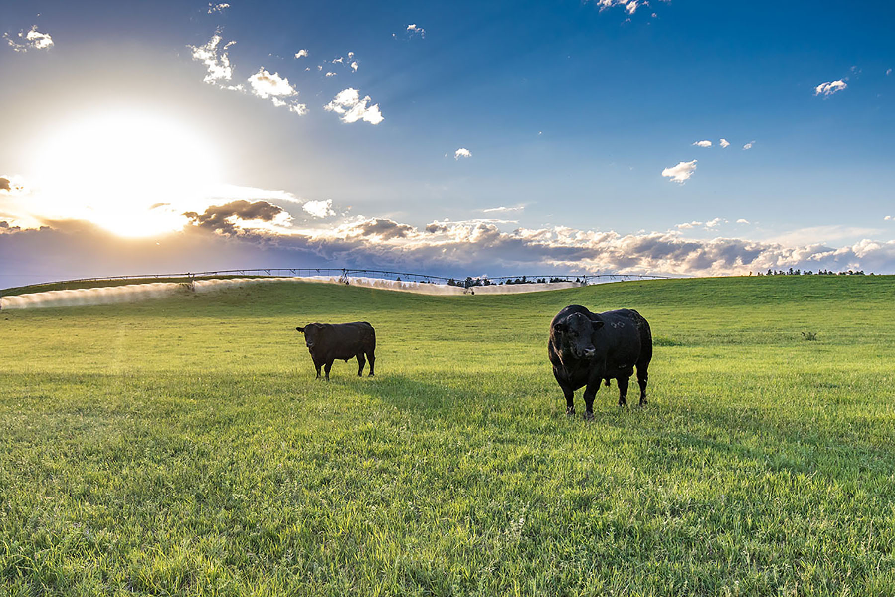 Hobble Diamond Ranch - South Unit - Sold - Montana - Hall and Hall