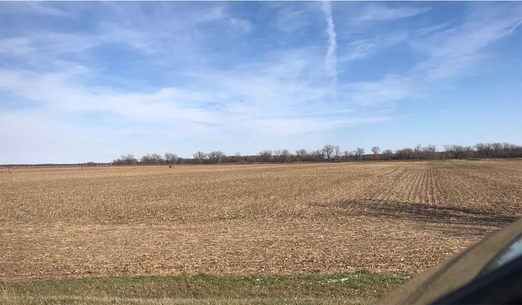 XIT Farms - Past Auction - Kansas - Hall and Hall