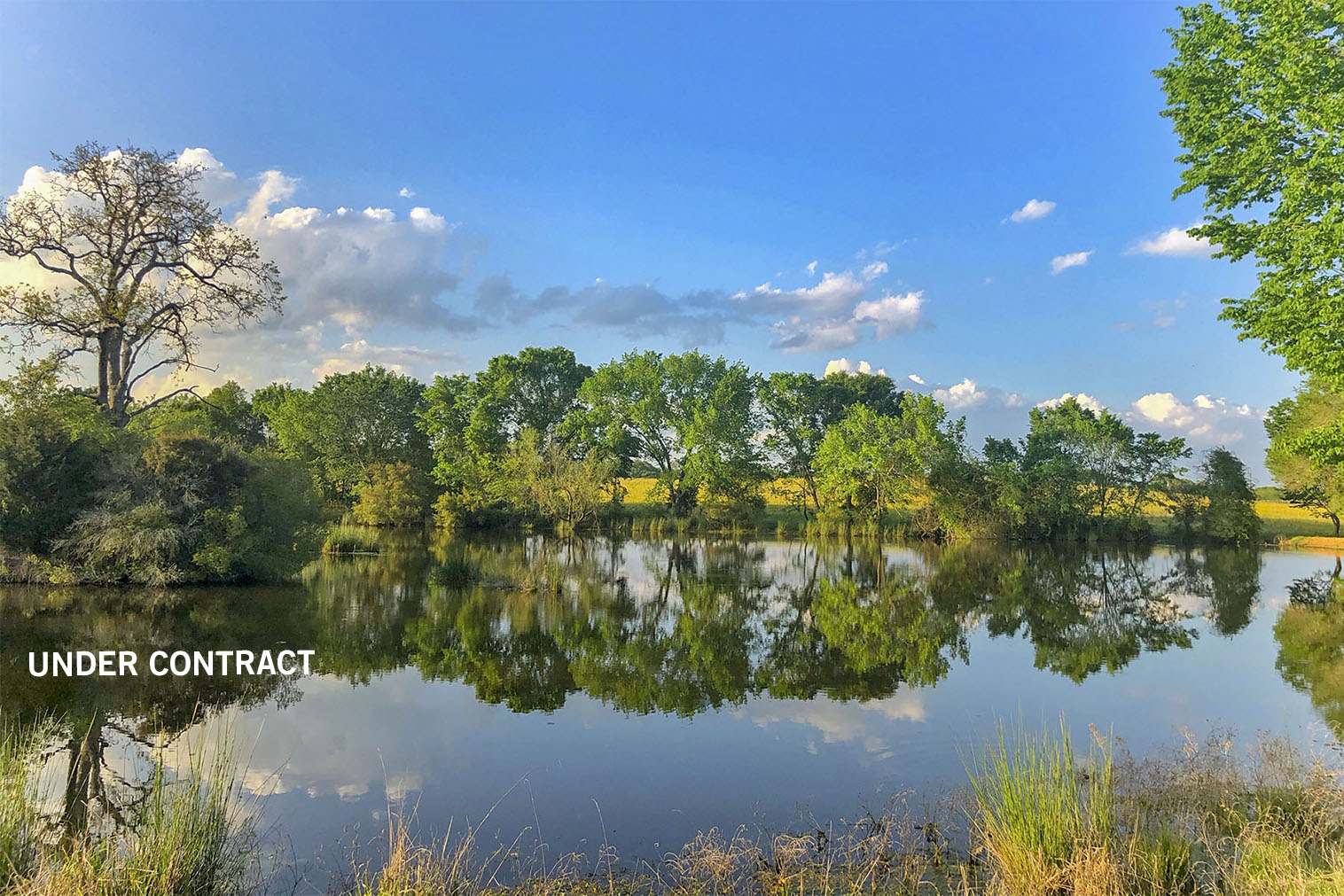 Rainbolt Ranch - Sold - Texas - Hall and Hall