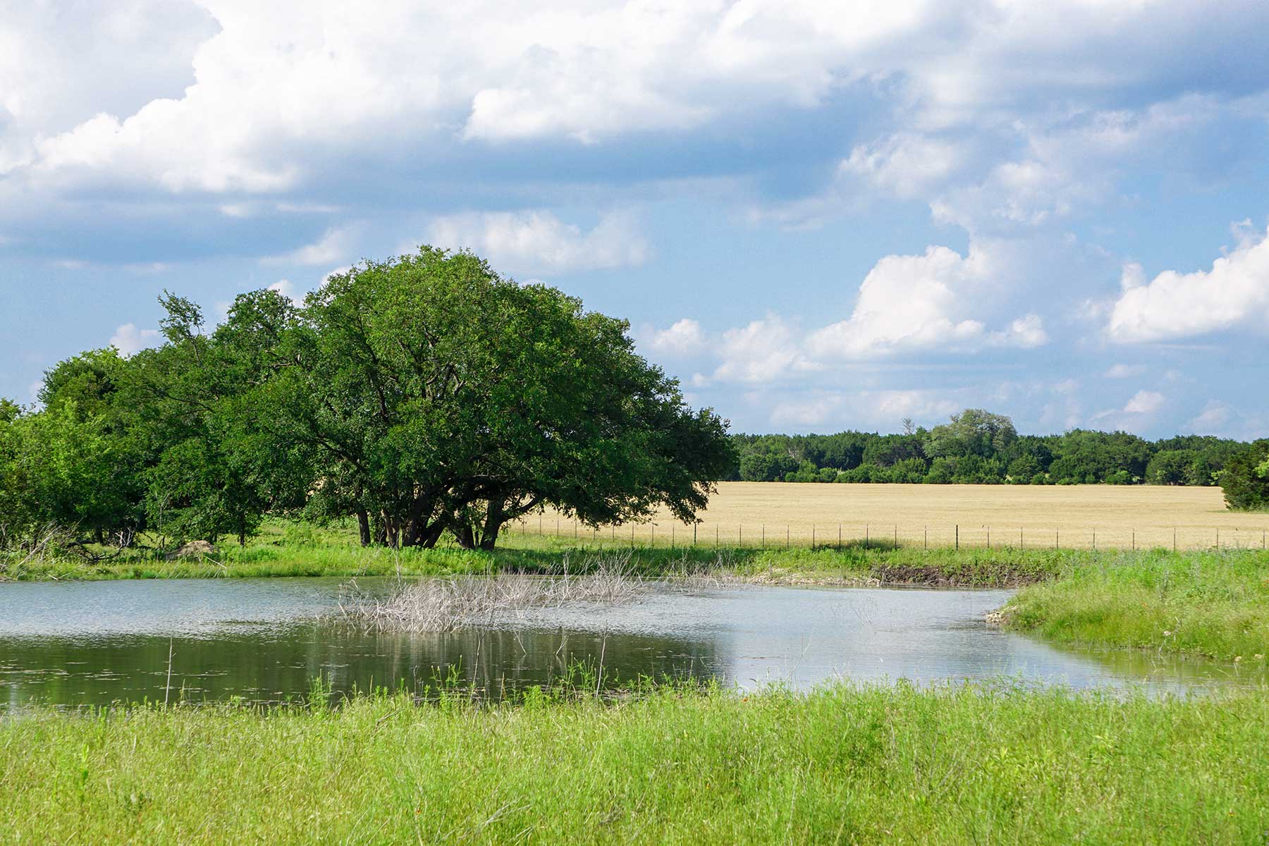 JS Ranch - Sold - Texas - Hall and Hall