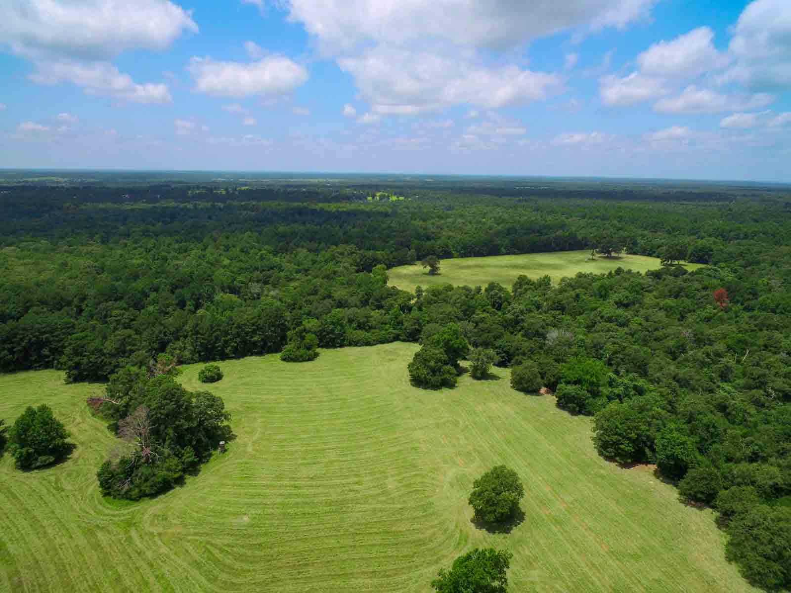 Spring Branch Ranch - Sold - Texas - Hall and Hall