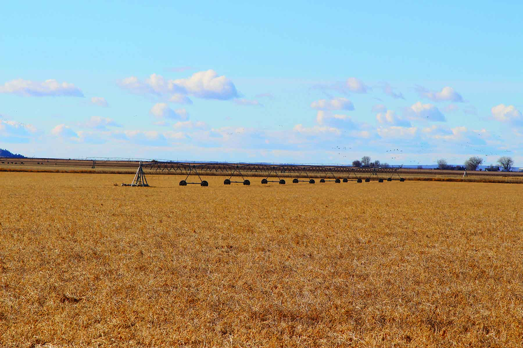 71 Ranch Hysham Farm - Sold - Montana - Hall and Hall