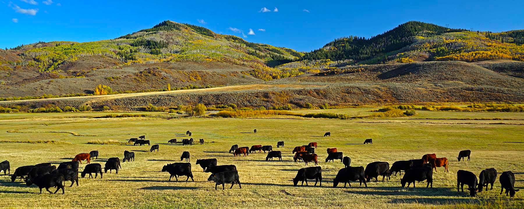 Stetson Ranch - Sold - Colorado - Hall and Hall