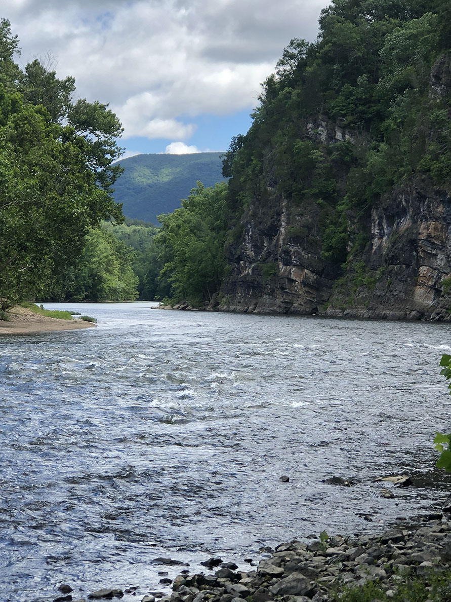 RiverStone Ranch - Past Auction - Virginia - Hall and Hall