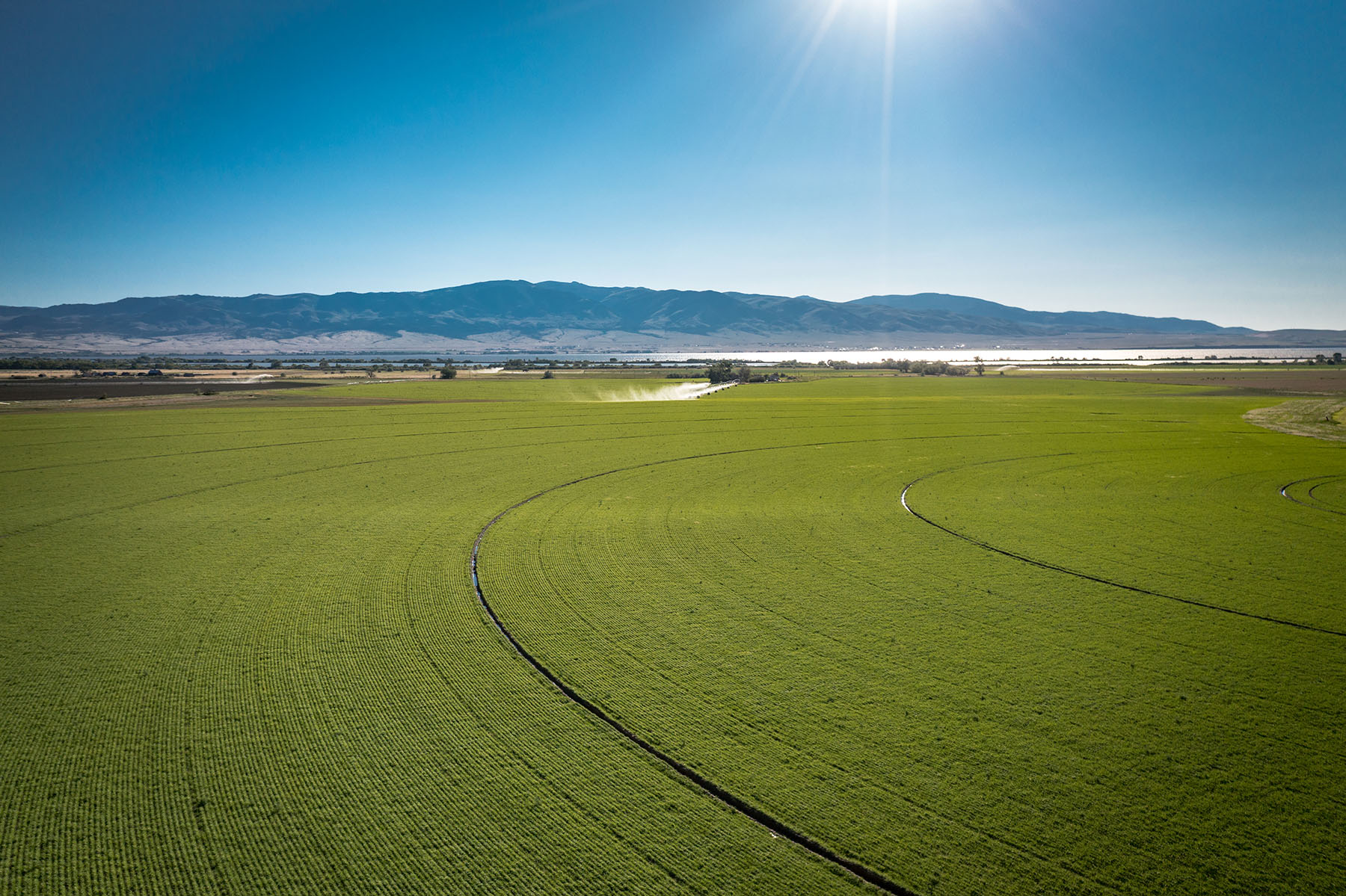 Double C Ranch - Sold - Montana - Hall and Hall