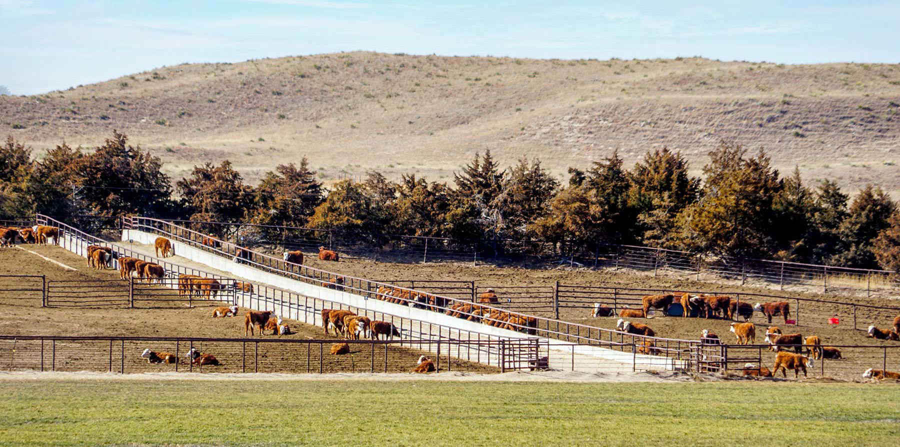 Diversified Sandhills Ranch - Sold - Nebraska - Hall and Hall