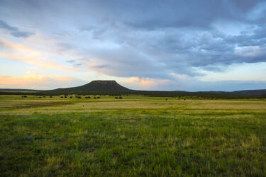 Great Western Ranch - Sold - New Mexico - Hall and Hall