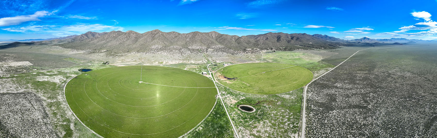 Diamond Springs Ranch - Sold - Nevada - Hall and Hall