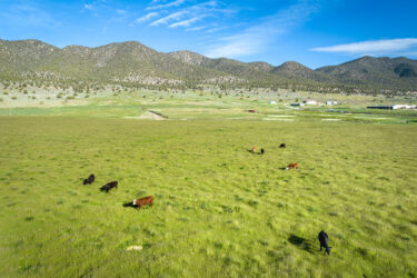 Nevada Ranches for Sale - Hall and Hall