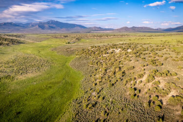 Nevada Ranches for Sale - Hall and Hall