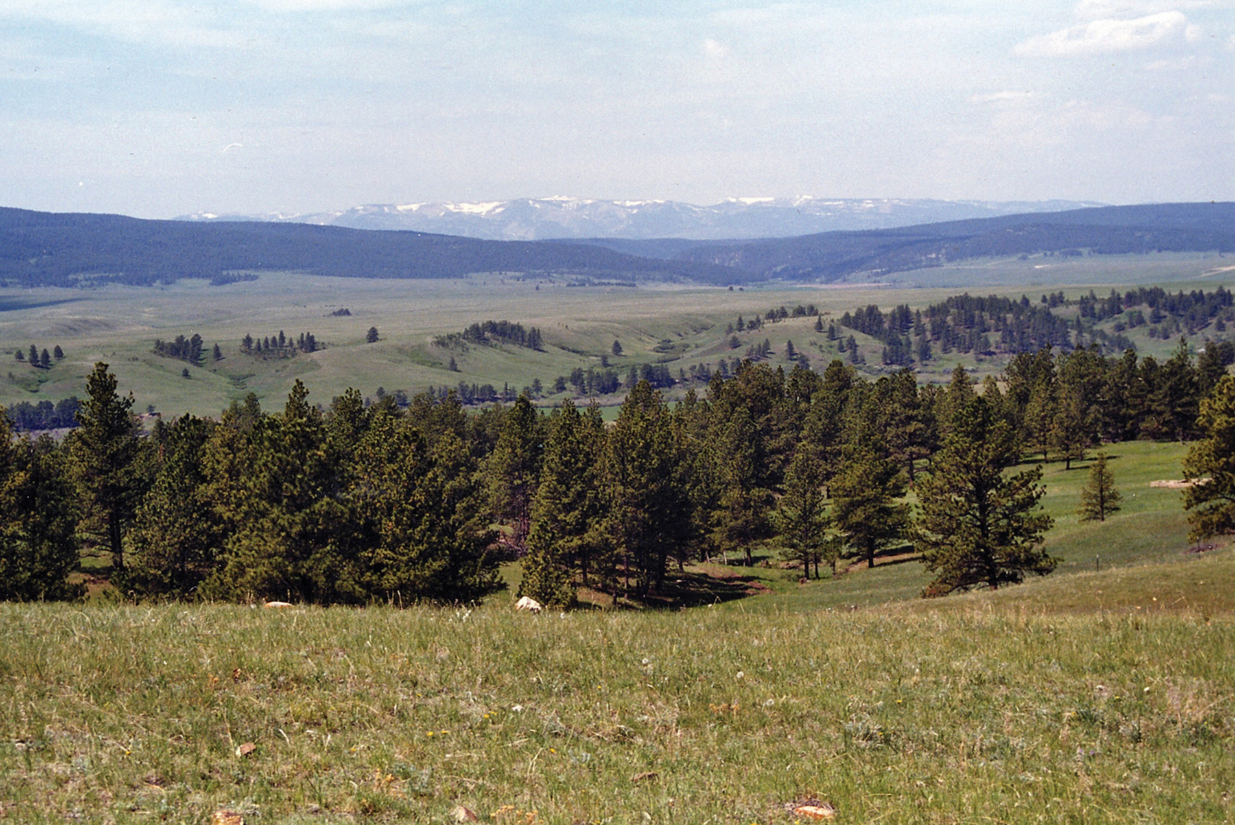 N Bar Ranch - Sold - Montana - Hall and Hall