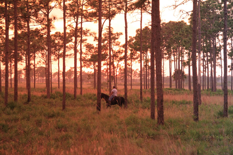 Escape Ranch - Sold - Florida - Hall and Hall