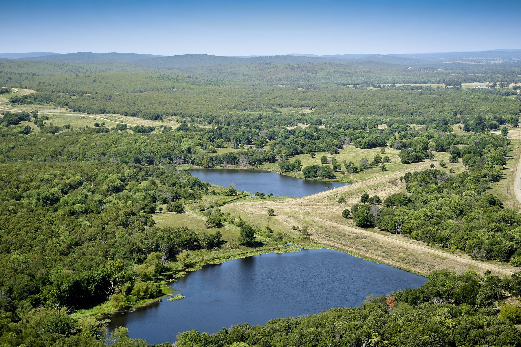Largest Cattle Ranch In Oklahoma Cattle Drives In The United States