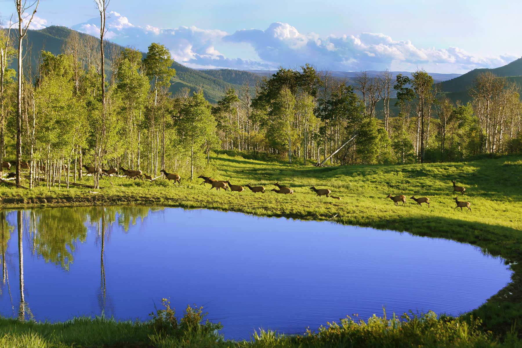 Big Mountain Ranch - Sold - Colorado - Hall and Hall