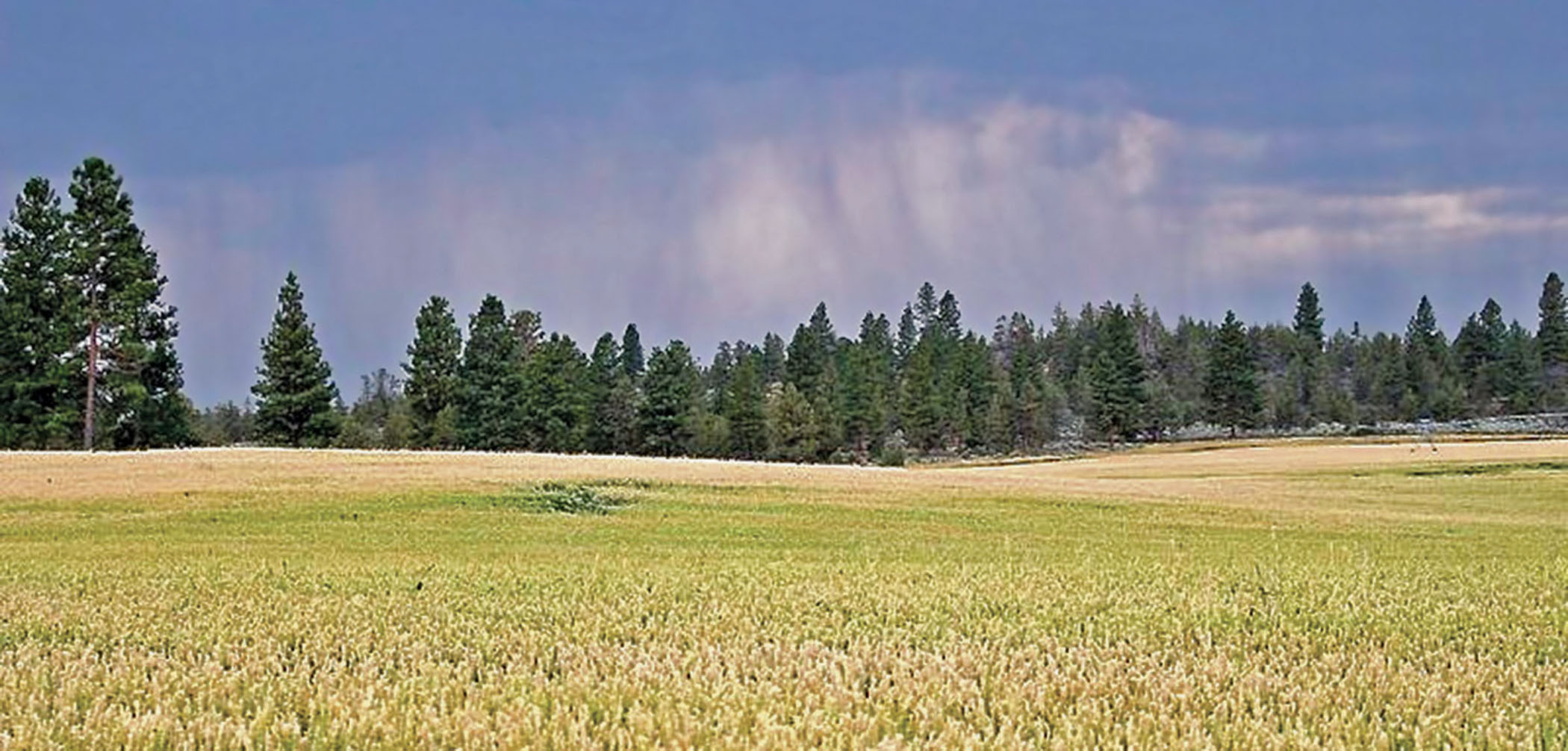 Chapman Ranch - Sold - Oregon - Hall and Hall