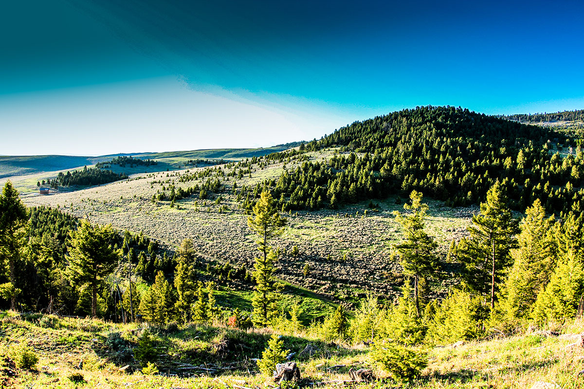 Elk Peak Ranch - Sold - Montana - Hall and Hall