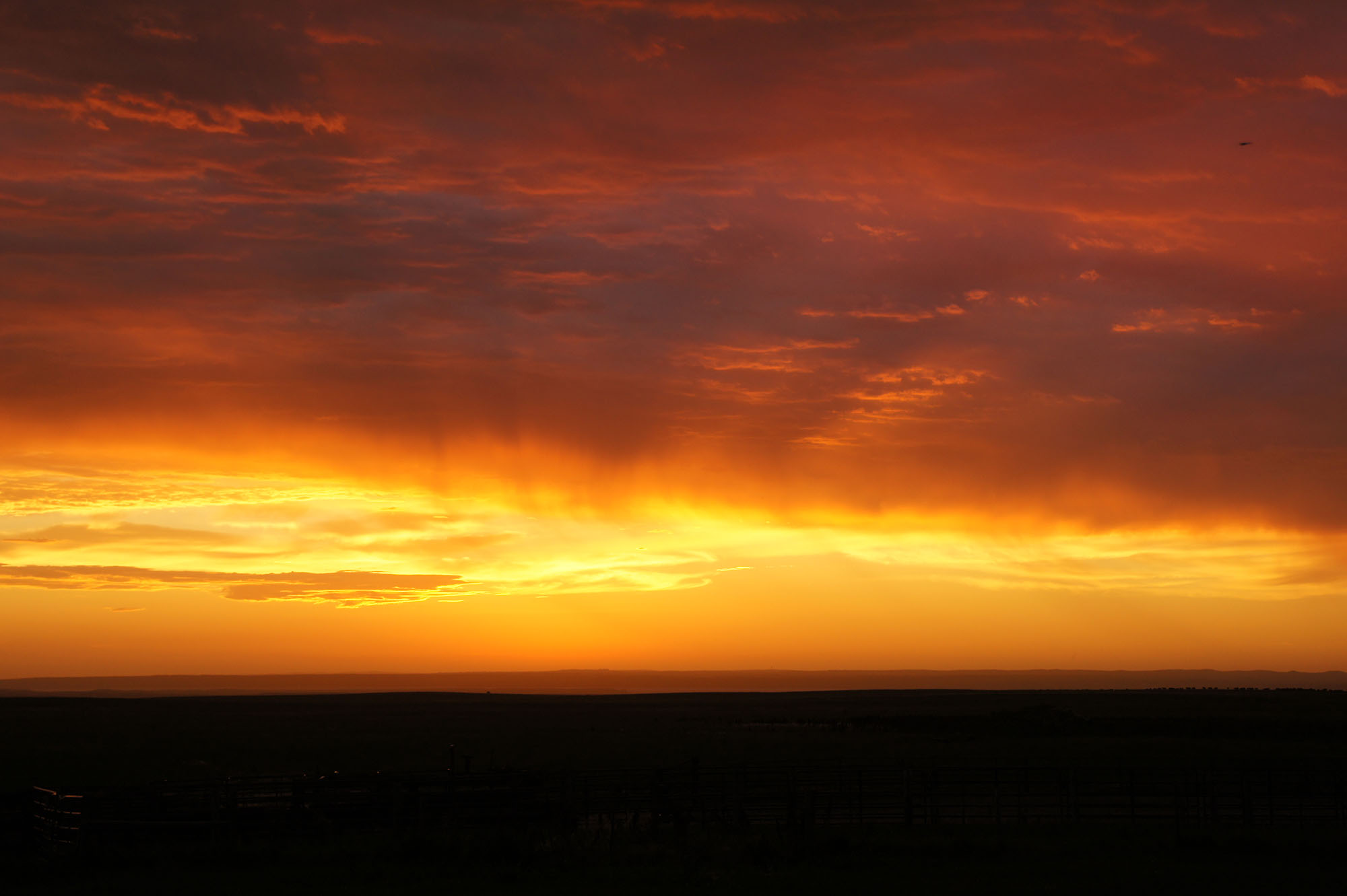 Triple U Ranch - Past Auction - South Dakota - Hall and Hall