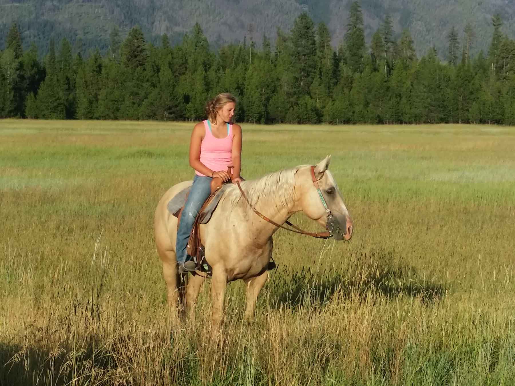 Lazy E Bar Z Ranch - Sold - Montana - Hall and Hall