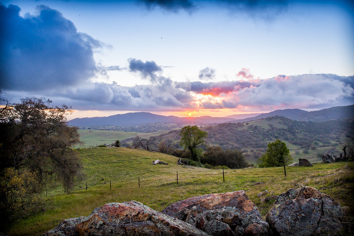 Los Robles Ranch - Sold - California - Hall and Hall