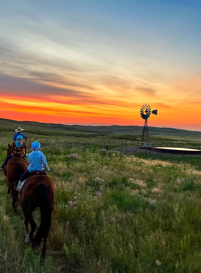 History Delivered - Hall and Hall