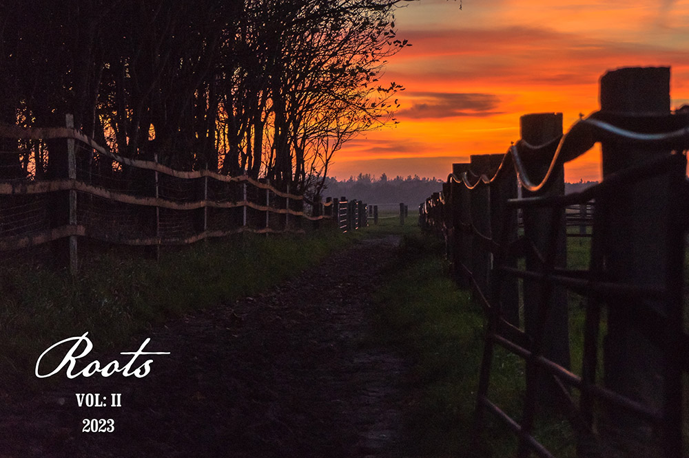 Escape to Nature: "Roots" Photography - Hall & Hall