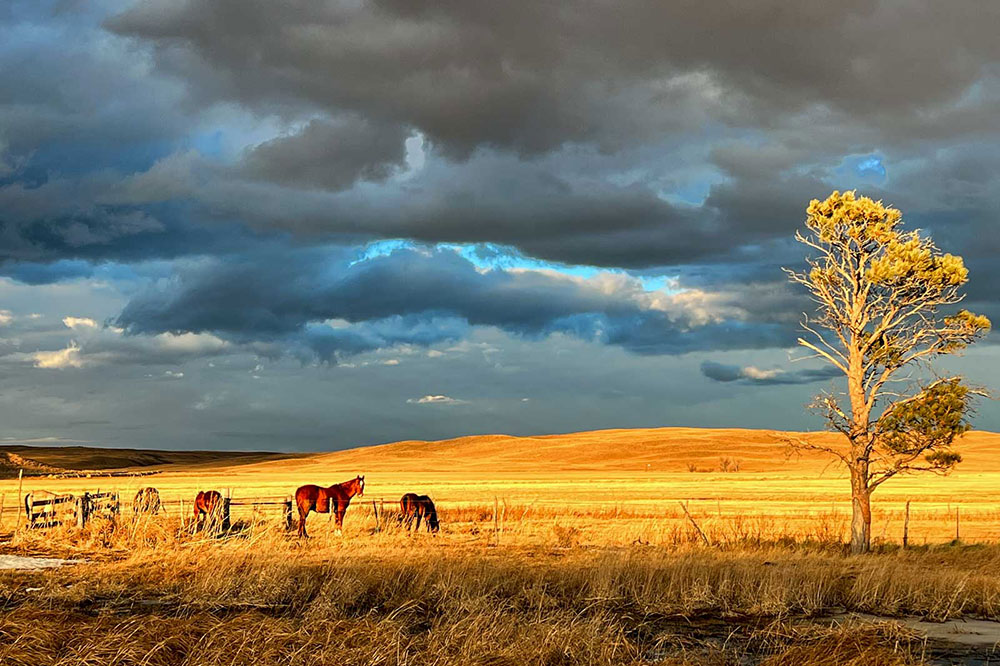 Dumbbell Ranch | Nebraska Sandhills Ranch Sells to Locals