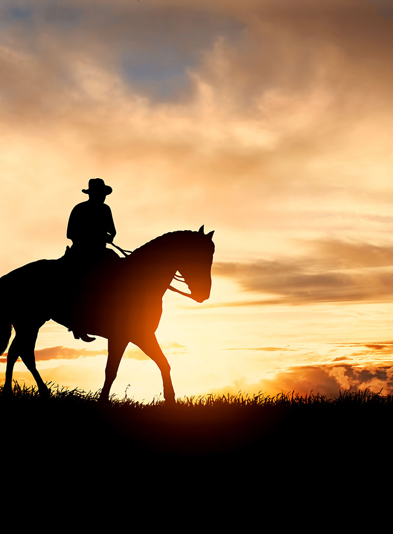 National Day of the Cowboy - Hall and Hall