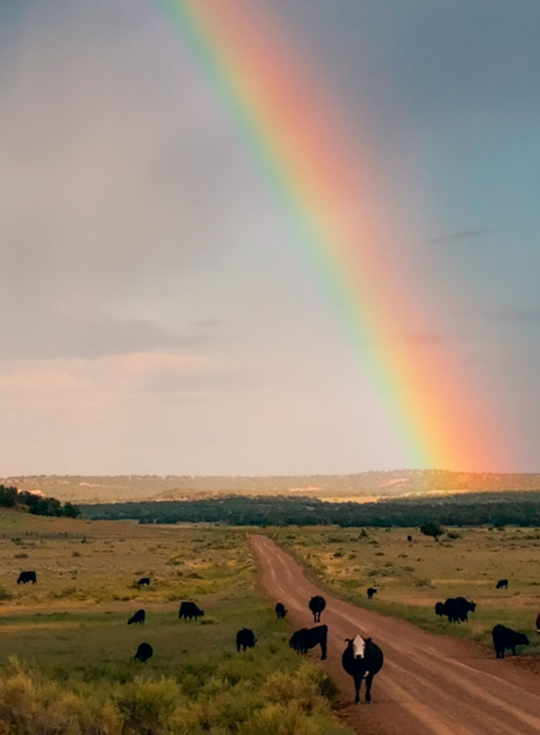 One of the Biggest Ranches in the USA is Selling for $142M