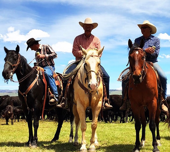 About Hall & Hall | Selling Farm & Ranch Land Since 1946