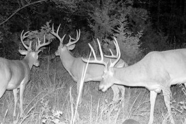 KiamichiLink Ranch - Sold - Oklahoma - Hall and Hall