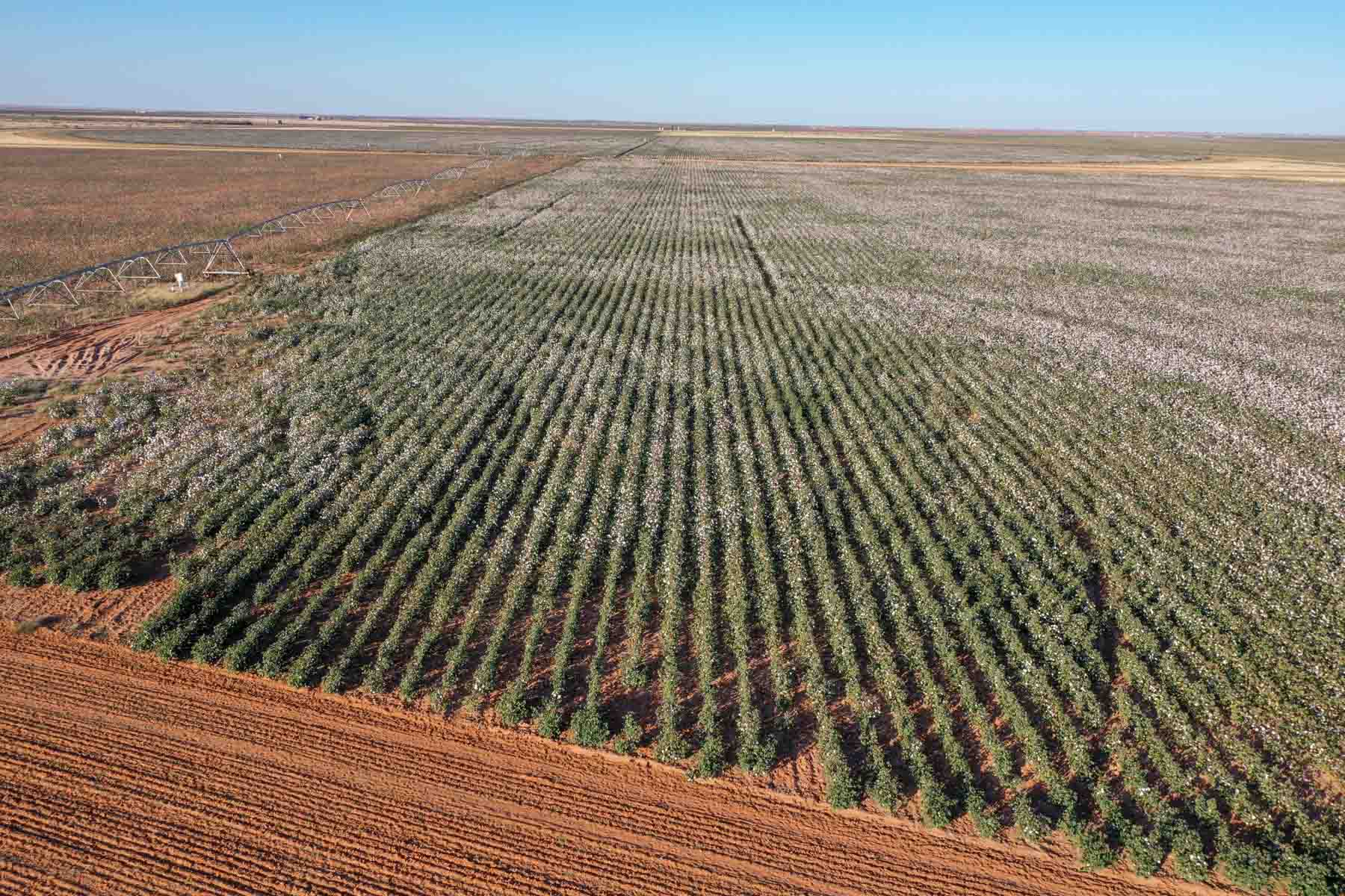 Warren Farms - Sold - Texas - Hall and Hall