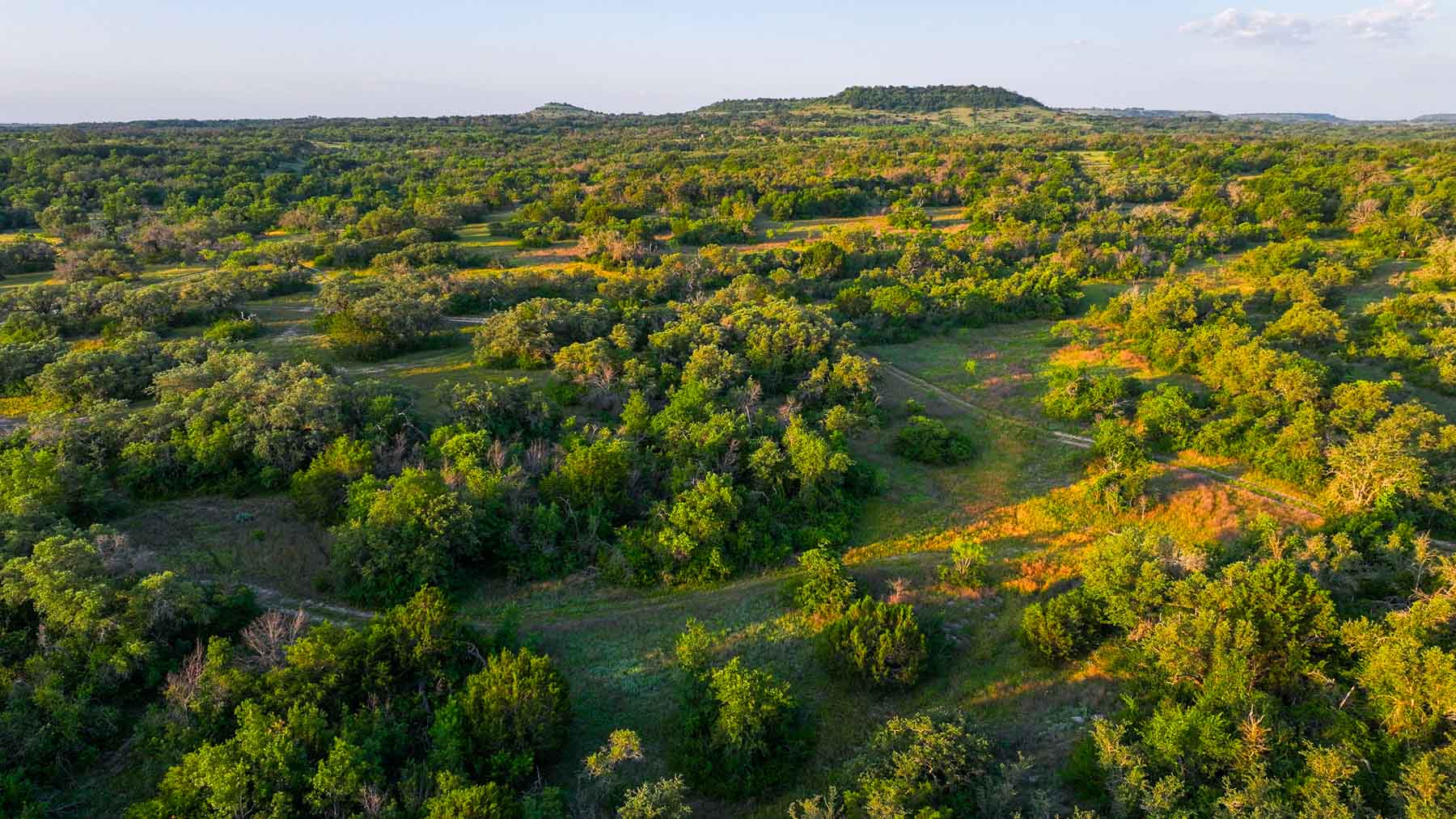 Triple J Ranch - Sold - Texas - Hall and Hall