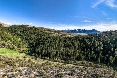 N Bar Ranch - Sold - Montana - Hall and Hall