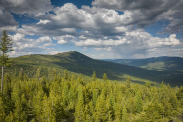Warren Peak Ranch - Sold - Montana - Hall and Hall