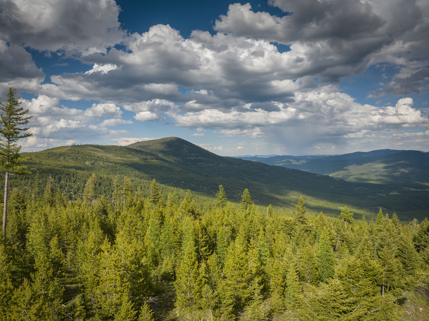 Haskill Mountain Retreat - For Sale - Montana - Hall and Hall