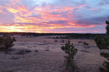 N Bar Ranch - Sold - Montana - Hall and Hall