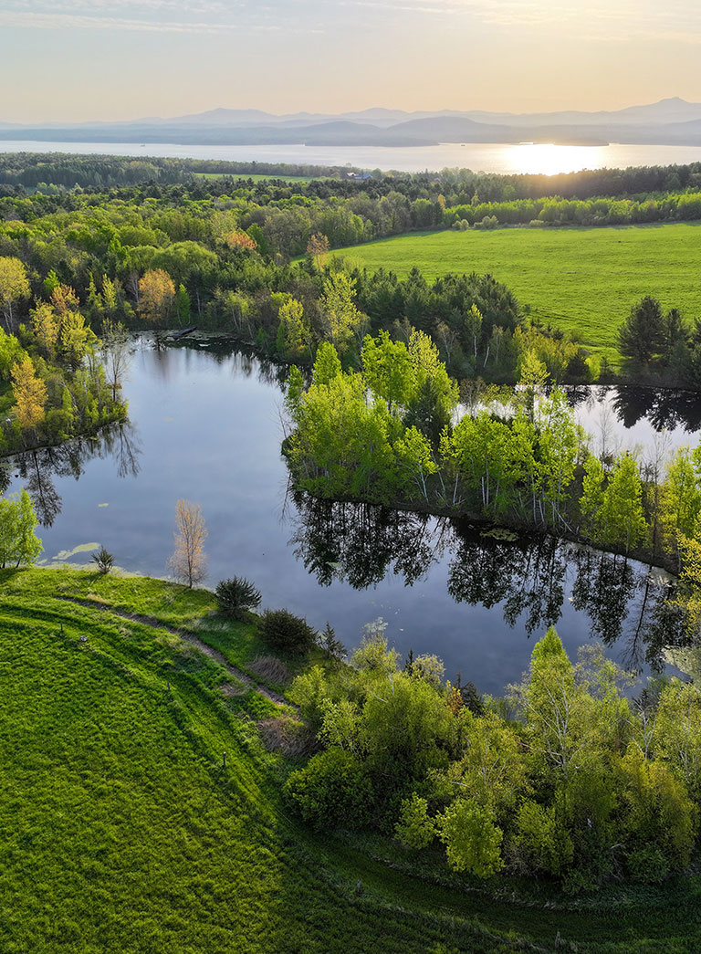 2025 Top Five Publisher's Picks Listings - Hall and Hall