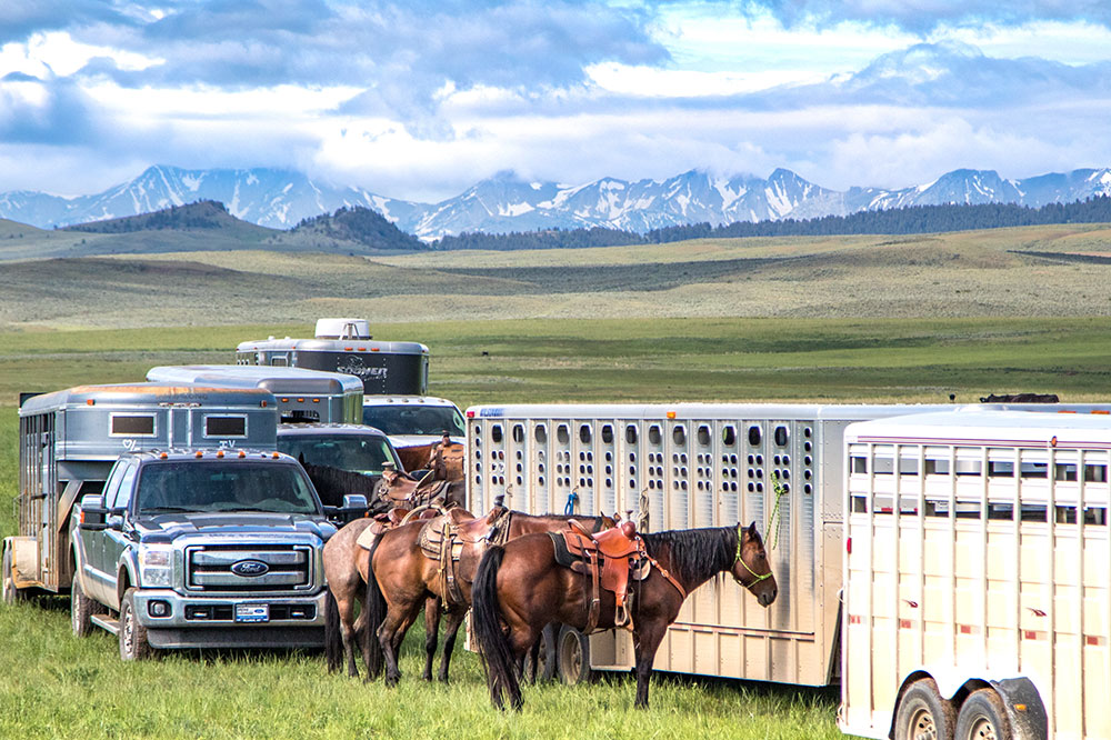 Embracing the Farm and Ranch Lifestyle - Hall and Hall